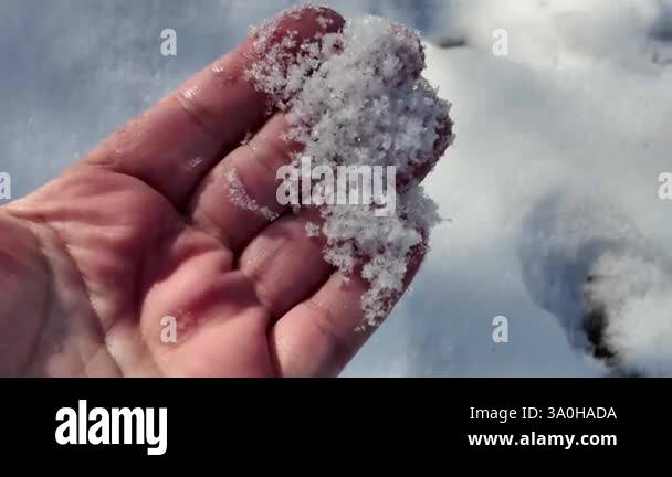 Snow on the palm. Blurred background. Winter concept. Slow mo Close up ...