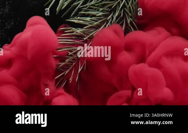 Vapor fir sprig. Smoke cloud. Green tree plant in red color ink water ...