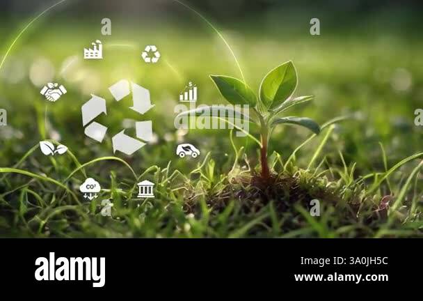 Circular economy for future growth of business Carbon neutral and net ...