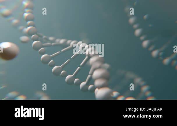 DNA molecule from particles Animation seamless loop. White appearance ...