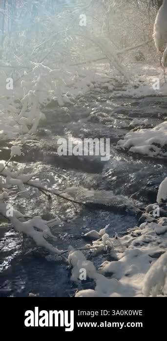 Vertical footage of beautiful ice river and forest. Mountain stream ...