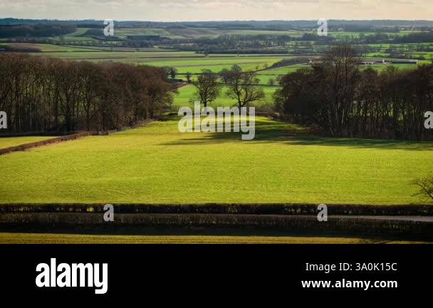 Vast green pastures and scattered trees casting long shadows on open ...