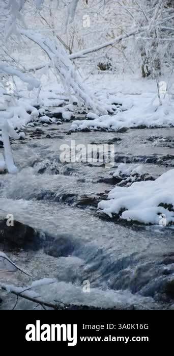 Vertical video of fast mountain river and amazing snow winter forest ...