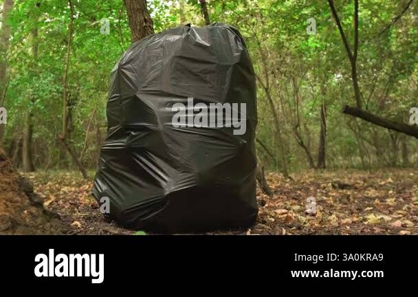 Eco mission: a bag of collected trash stands in a green forest ...