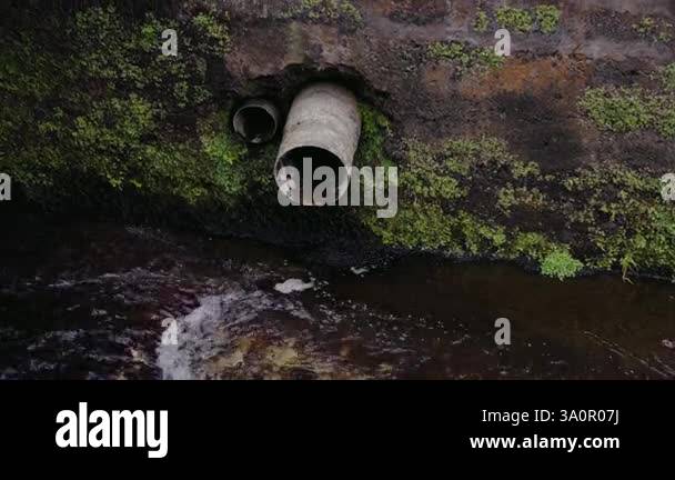 Image of two old concrete drain pipes embedded in a moss-covered wall ...