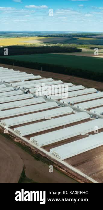Overhead view of poultry farm. Poultry farm building in rural area from ...
