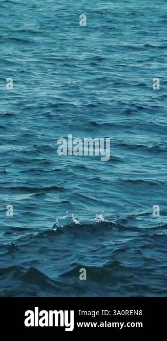 Blue sea surface. Background texture of a calm deep blue ocean with ...