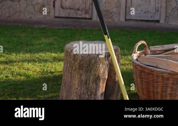 A sturdy tree stump used as a chopping block with an axe leaning ...