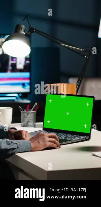 Vertical Video Self employed person checking financial graphs on chroma ...