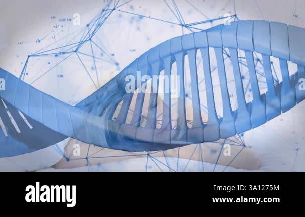 DNA strand and network connections animation over person in background ...