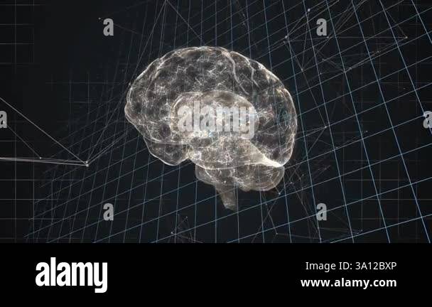 Animation of transparent brain model with mathematical equations and ...