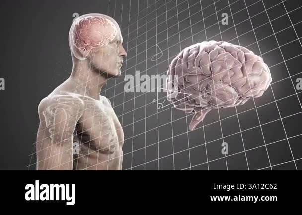 Animation of human anatomy with brain and math equations on school grid ...