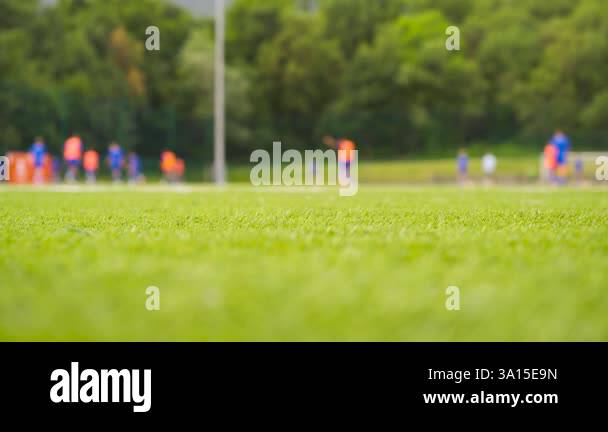 soccer team training of a professional childrens team football match ...