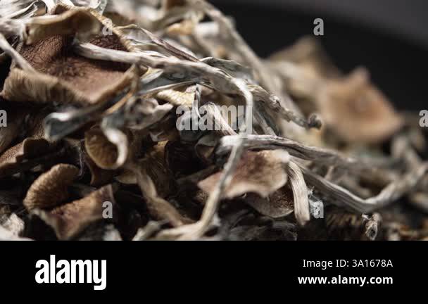 Magic mushrooms - dried psilocybin mushrooms Golden Teacher Stock Video ...