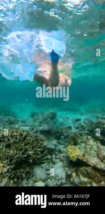 A woman swims underwater in the Maldives, wearing a green swimsuit and ...