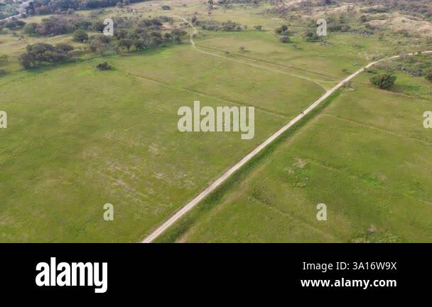 An aerial view of a vast green field with scattered trees, intersected ...
