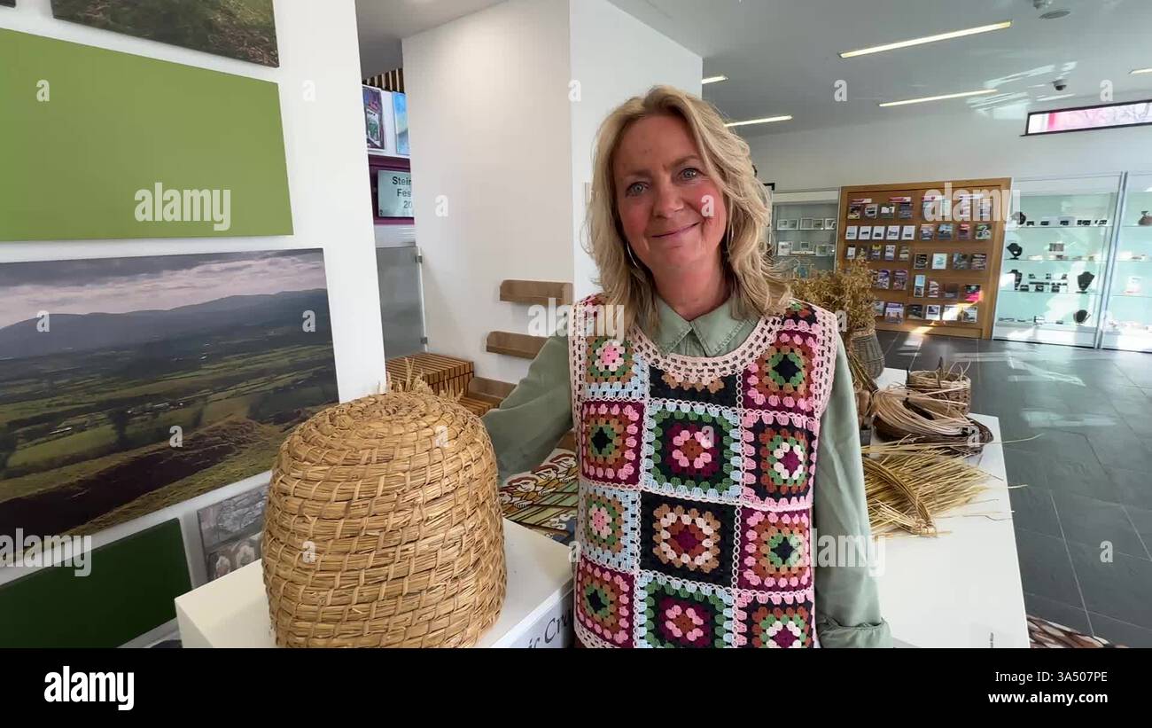 Willow artist speaks after meeting the King during Northern Ireland ...