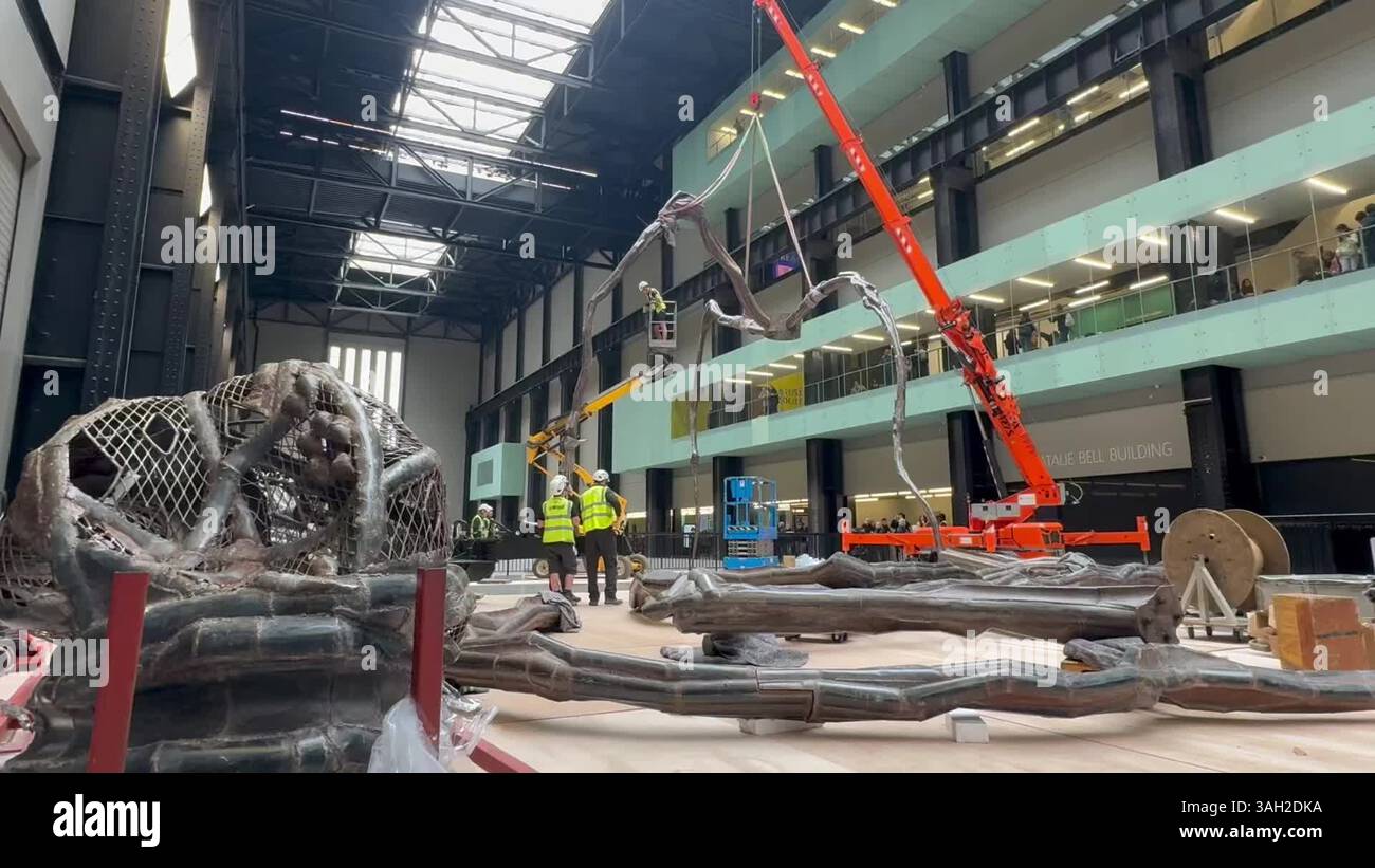 Giant spider sculpture installed at the Tate Modern Stock Video Footage ...