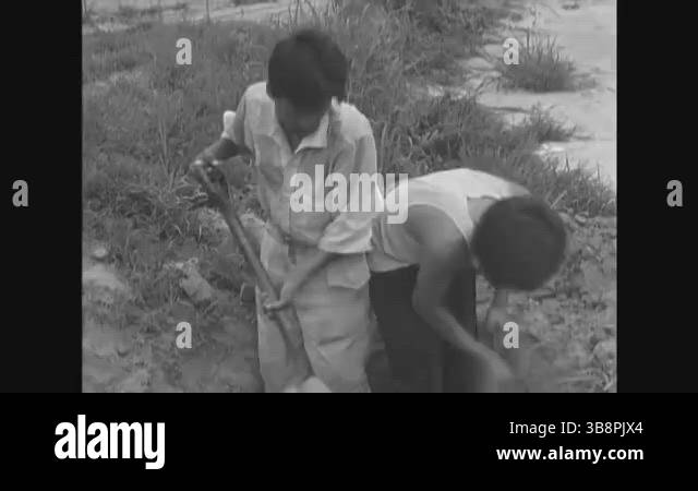 KOREA - 1950 - Korean civilians dig trenches for American soldiers in ...