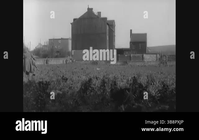 GERMANY - 1944 - US soldiers advance across field and take cover in ...