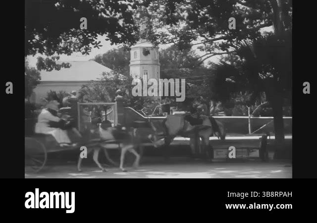 BAHAMAS - 1920 - Burro-drawn carts transport two native women to a ...