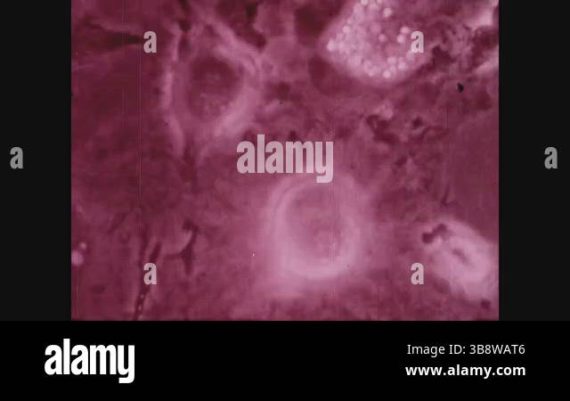 USA - 1967 - Personified LSD explains that what happens when a person trips depends on the ...