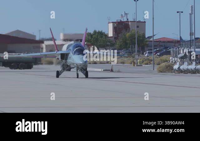 Hawk talon Stock Videos & Footage - HD and 4K Video Clips - Alamy