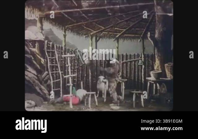 CARIBBEAN - 1902 - In this silent film, a pack of flour bursts open ...