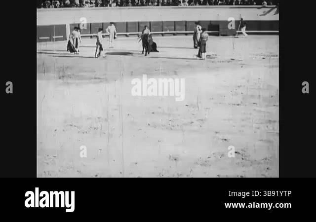 SPAIN - 1900s - The matadors circle the dying bull before one thrusts a ...