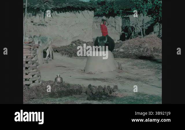 INDIA - 1971 - Lakshmi gather cow dung to mold them into fuel cakes for ...