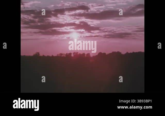 Early life stages of butterflies Stock Videos & Footage - HD and 4K ...