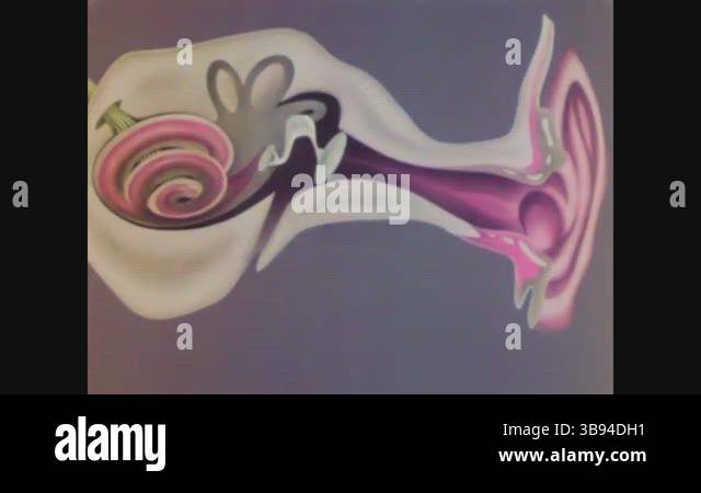 USA - 1965 - How sound waves enter the human ear and how we hear sounds ...