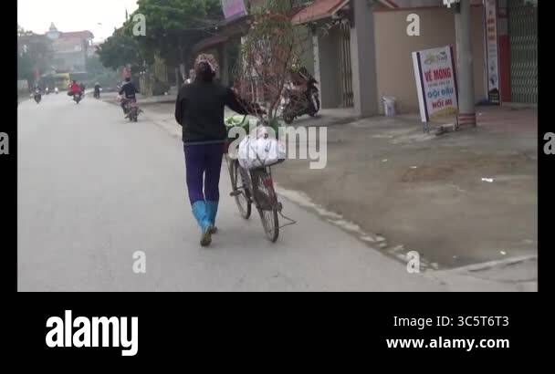 November 23, 2024, Haiduong, Vietnam. the New Year in Vietnam Stock ...