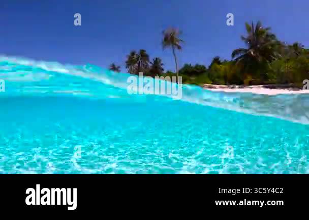 Tropical waters underwater view Stock Videos & Footage - HD and 4K ...