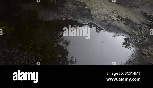 Natural Scenery Reflection in Water Puddle, water ripples from ...