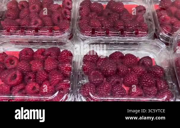 Raspberries in transparent plastic trays displayed by grocer, tracking ...