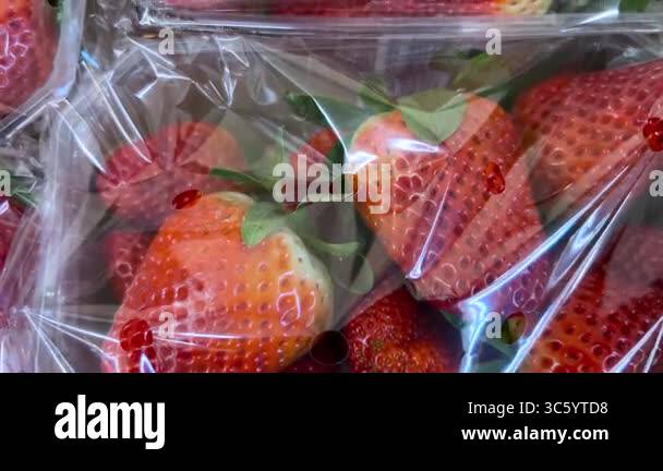 Fresh strawberries packed in transparent plastic foil from greengrocer ...