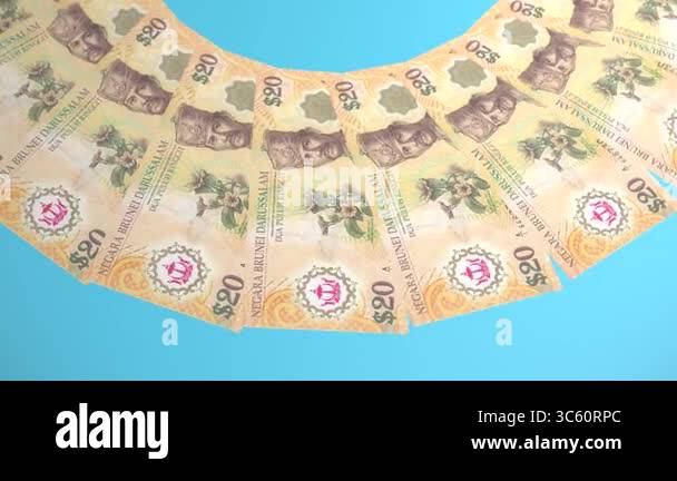Decorative Looping Design 20 Ringgit Curency of Brunei Darussalam Stock ...