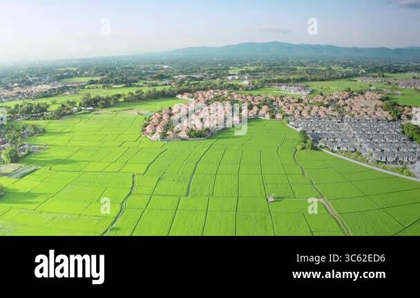 Land or landscape of green field in aerial view. Include agriculture ...