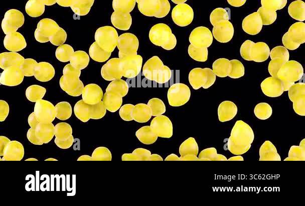 Pomelo falling and fill the screen. 3D animation on transparent ...