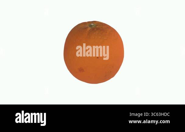 Realistic 3d orange color Stock Videos & Footage - HD and 4K Video ...