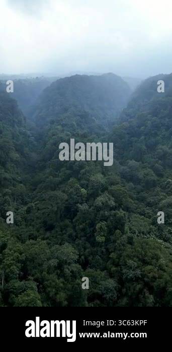 Aerial view, drone fly over a valley with dense forest below. Green ...