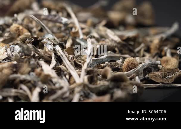 Magic mushrooms - dried psilocybin mushrooms Golden Teacher Stock Video ...
