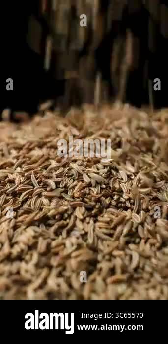 Dried Cumin Seeds Close-Up Culinary Ingredient Pour Slow Motion ...