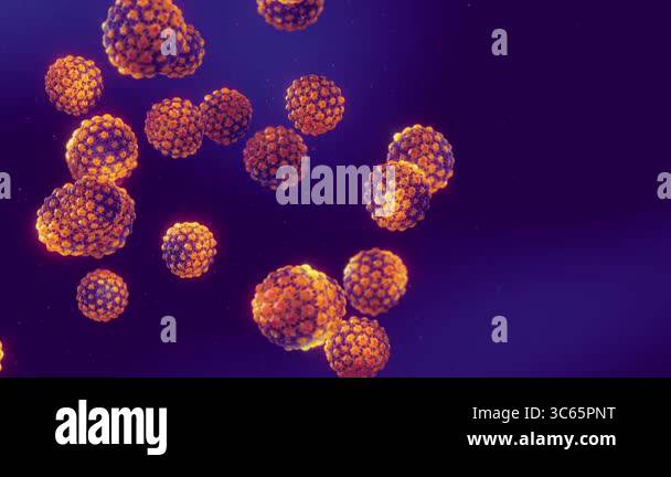 Animation of human papillomaviruses (HPV). Strains of this virus cause ...