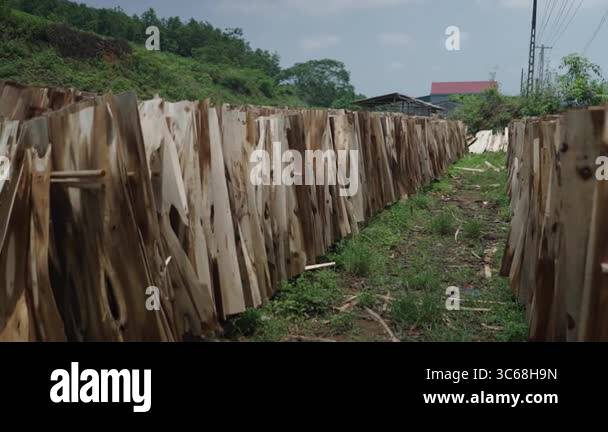 wood factory and warehouse in an area next to the forest near the ...