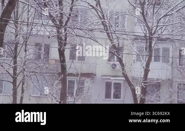 Thick snowflakes fall from the sky, creating a mesmerizing winter ...