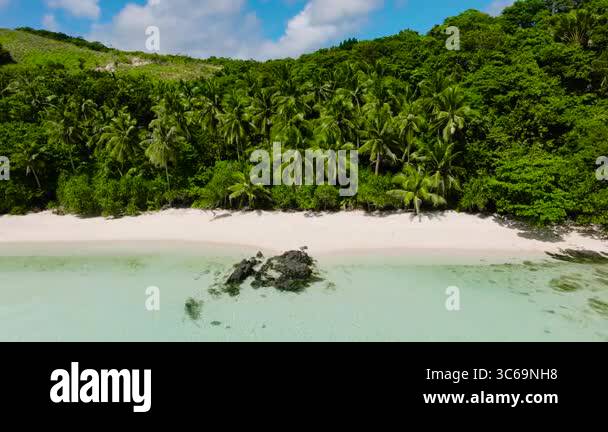 A stunning tropical beach lined with coconut trees and surrounded by ...