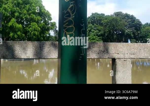 a view of a lamppost in a garden of a gloomy green color with graffiti ...