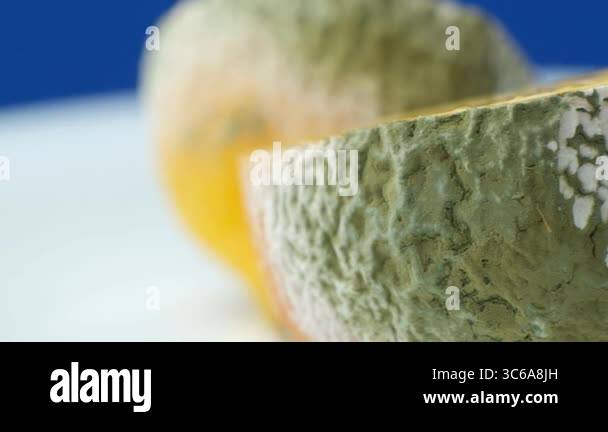 Decomposing Lemon with Fuzzy Mold Formation Stock Video Footage - Alamy